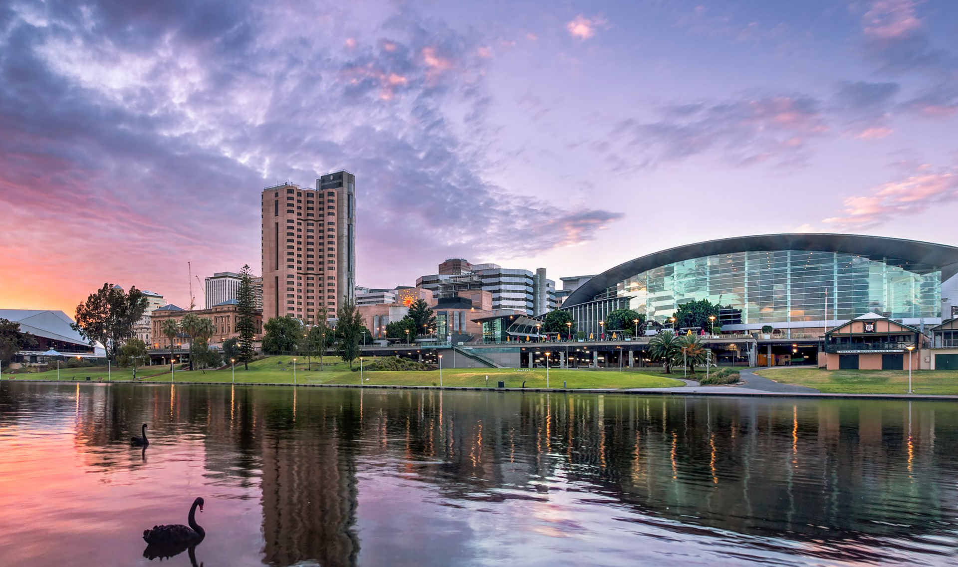 Patient Information | No Scalpel Vasectomy Explained